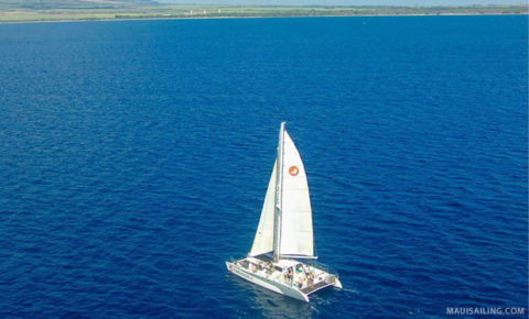 Maui Sailing - Molokini, Snorkeling, Dinner, Sunset Trips