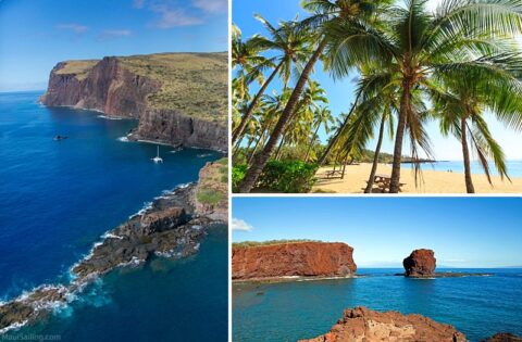 Maui Activities You Should Consider - Maui Sailing