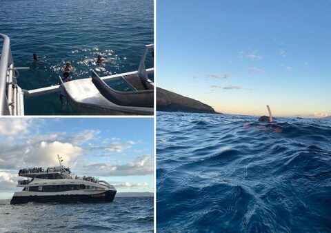 Molokini Snorkeling Tours: The Facts - Maui Sailing